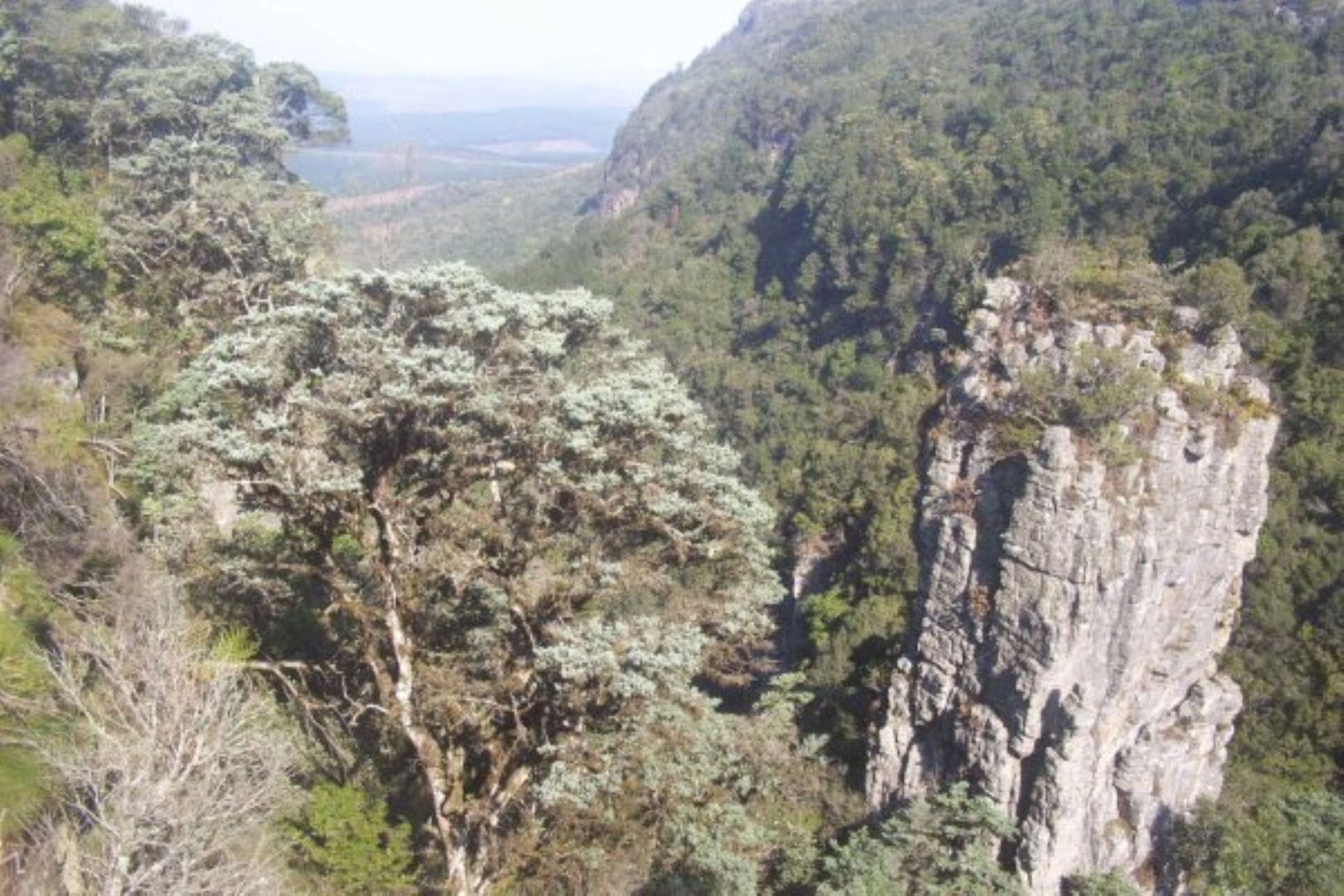 Things to Do in Graskop, South Africa 2026 - Hotels & Flights - Earth ...