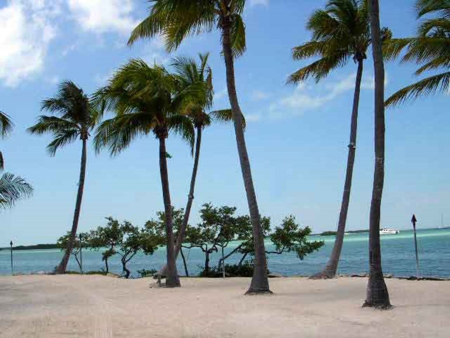 Things to Do in Islamorada, United States 2026 - Hotels & Flights ...