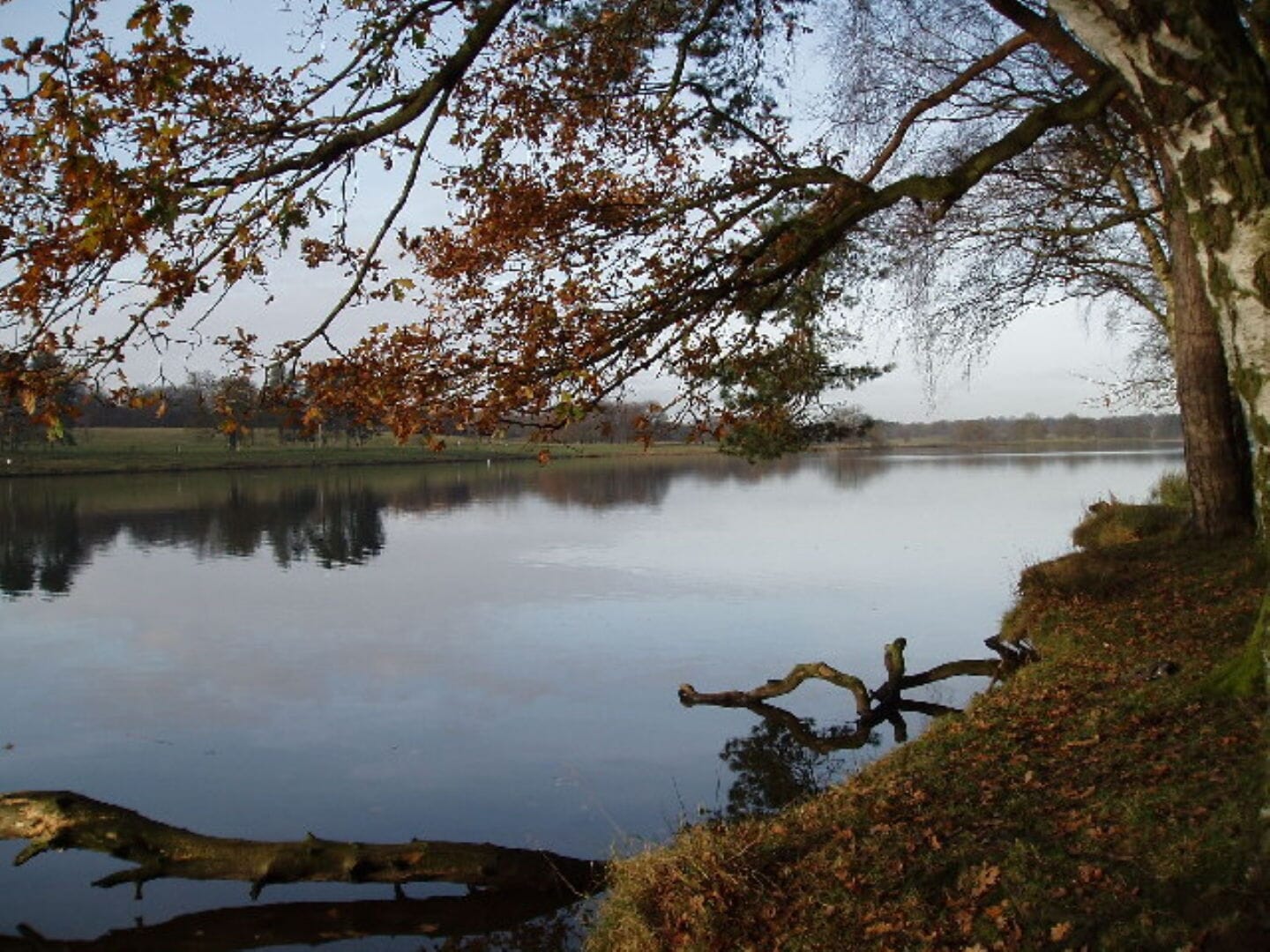 Knutsford Travel Guide, Photos & Videos, Things to do & see - Earth ...