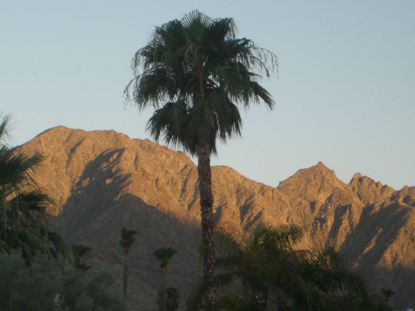 Things to Do in La Quinta, United States 2026 - Hotels & Flights ...