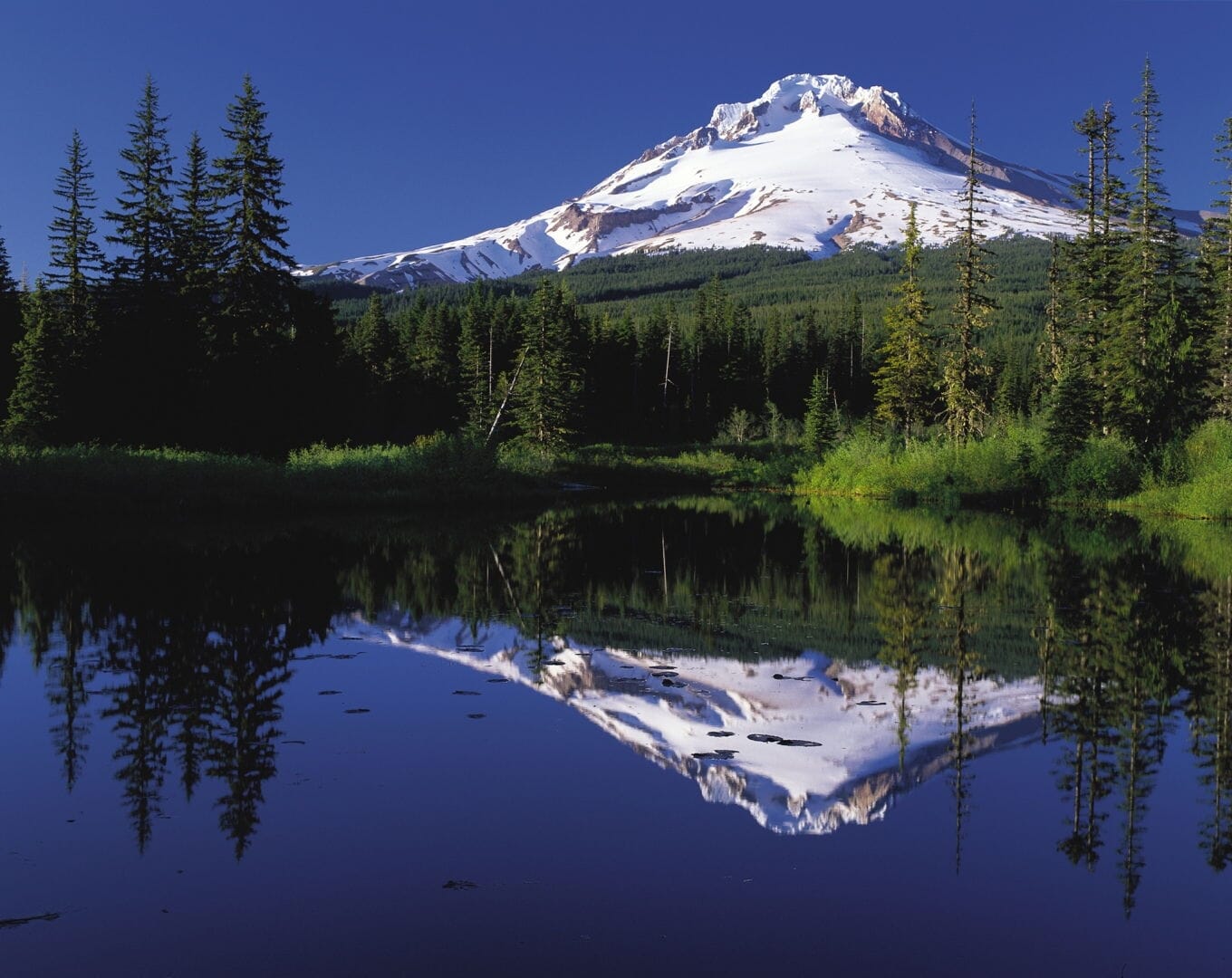 Things to Do in Mount Hood, United States 2025 - Hotels & Flights ...