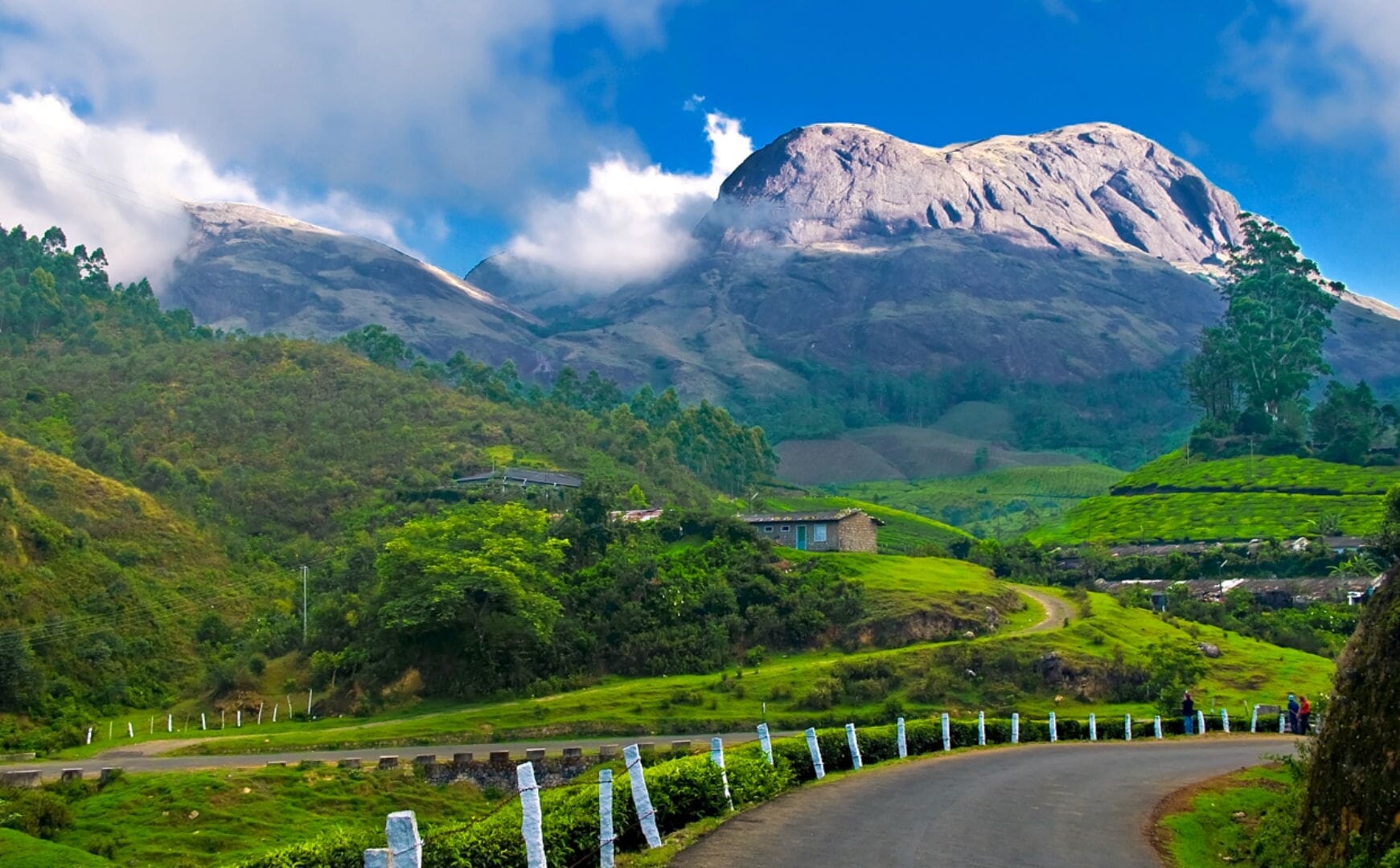 Things to Do in Munnar, India 2025 - Hotels & Flights - Earth Roulette