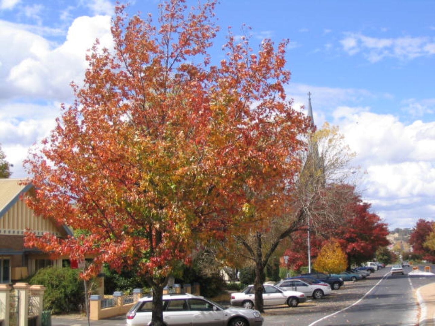 Things to Do in Orange, Australia 2026 - Hotels & Flights - Earth Roulette