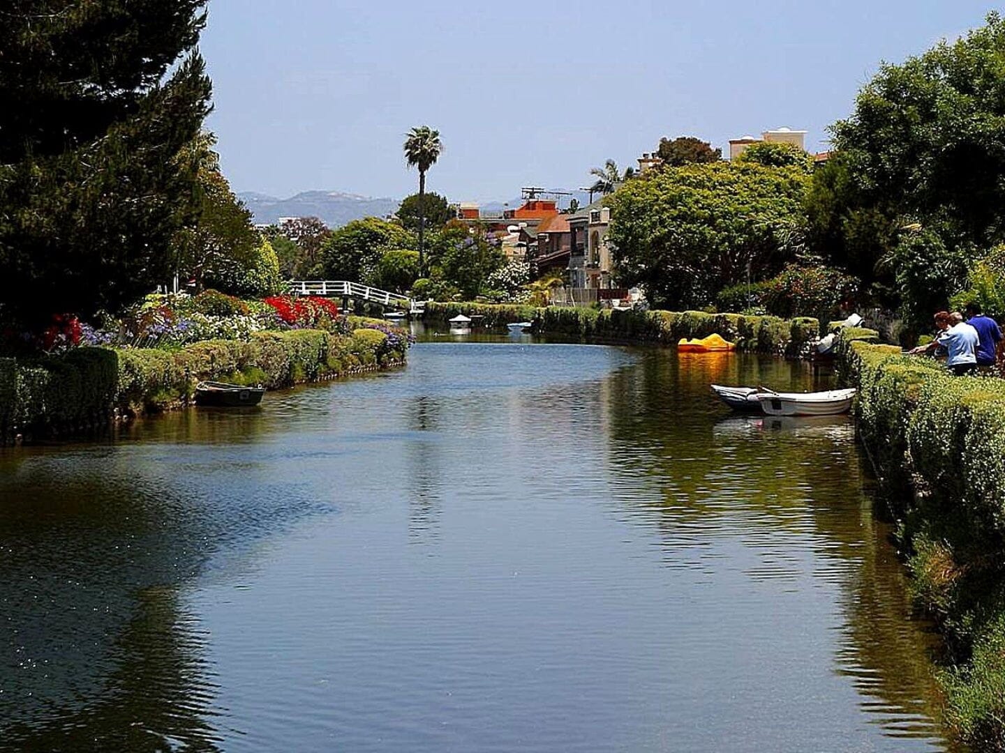 Things to Do in Venice, United States 2026 - Hotels & Flights - Earth ...