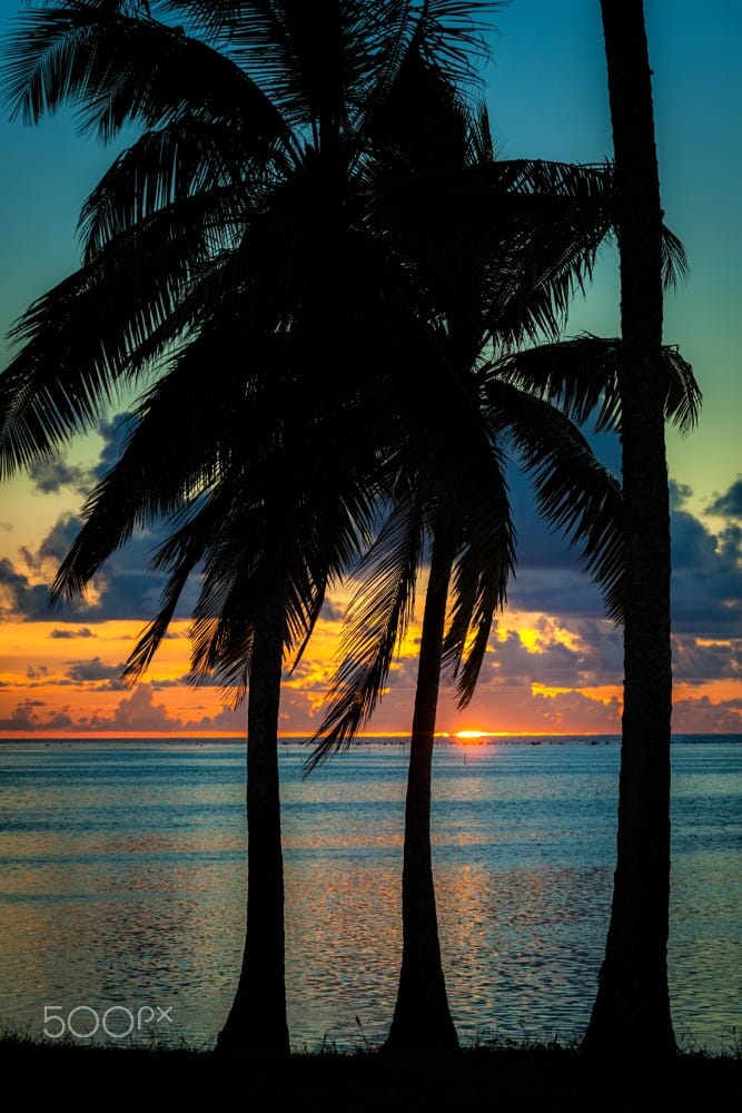 Random City Generator in Cook Islands 2025 - Holiday Destinations ...