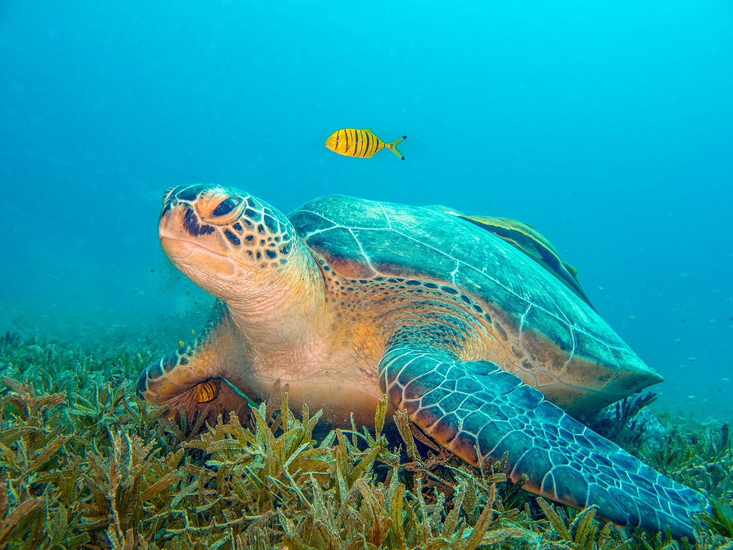 Random City Generator in Egypt 2026 - Holiday Destinations & Vacation ...