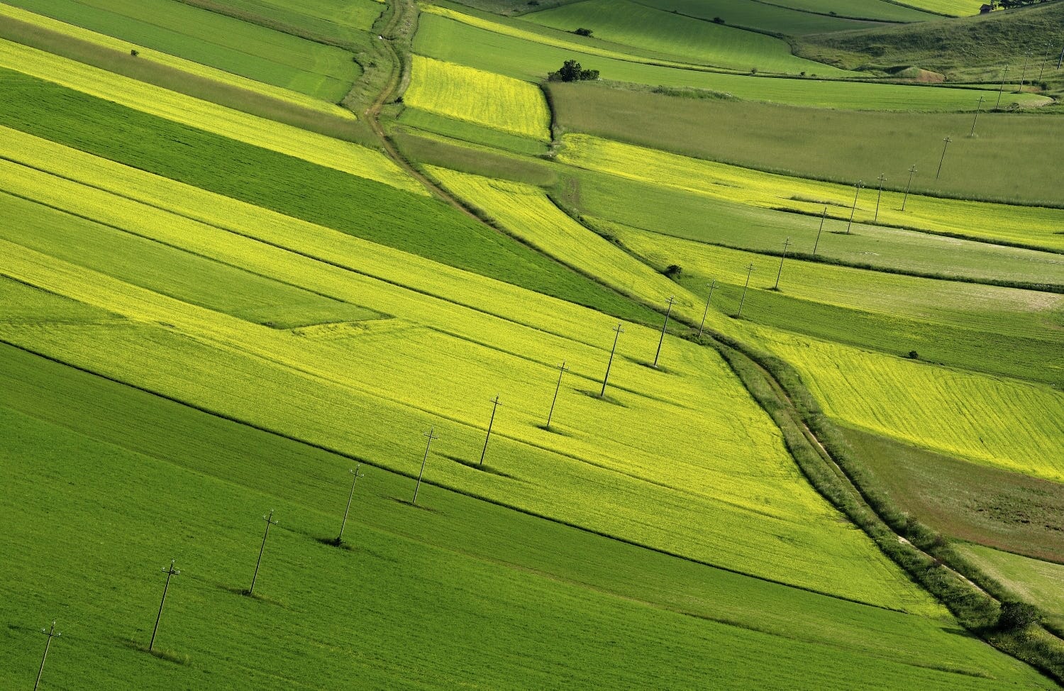 Random City Generator in Italy 2025 - Holiday Destinations & Vacation ...