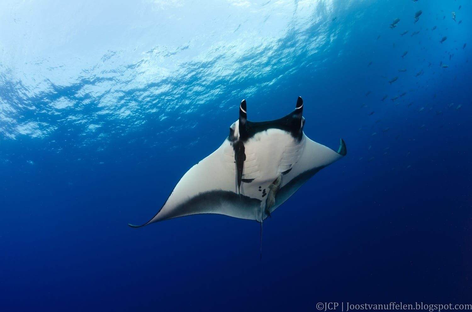 Random City Generator in Mexico 2025 - Holiday Destinations & Vacation ...