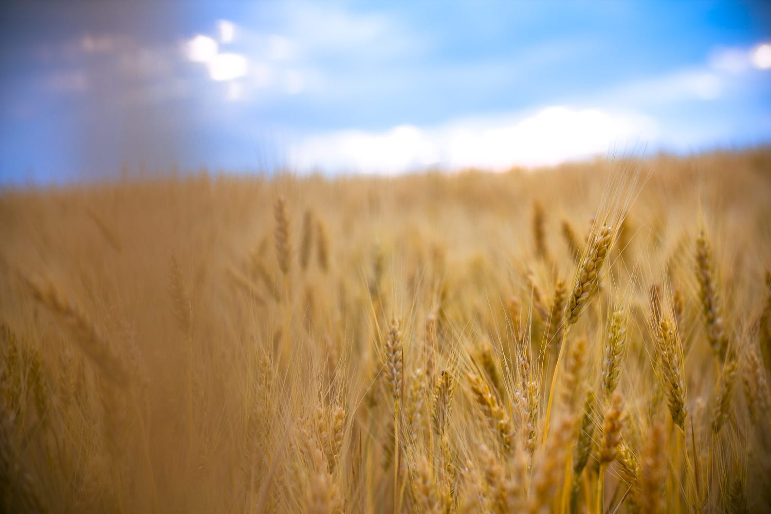 Random City Generator in Moldova 2025 - Holiday Destinations & Vacation ...