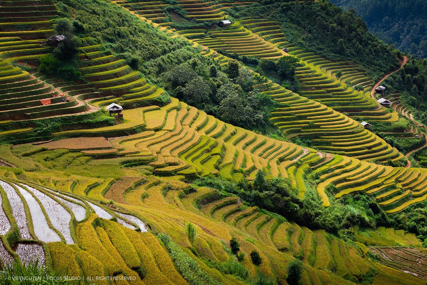 Random City Generator in Vietnam 2025 - Holiday Destinations & Vacation ...